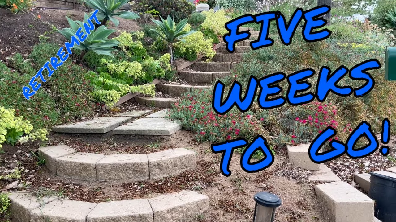 5 WEEKS TO GO. are you ready to retire. let's think about these ...
