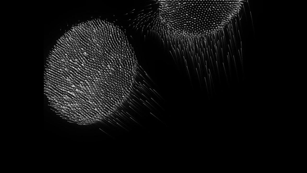 Boids / Flocking Simulation (Compute Shader) with OPENRNDR - YouTube