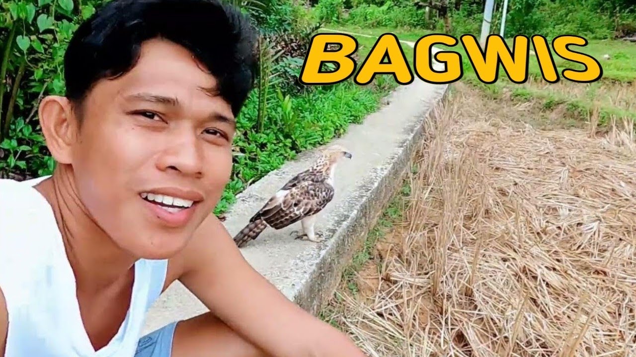 BAGWIS UMOWI KANA - YouTube