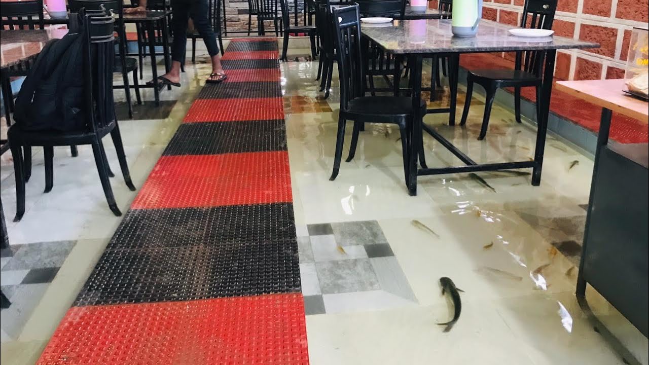 FISH POND FLOOR RESTAURANT IN KERALA - YouTube