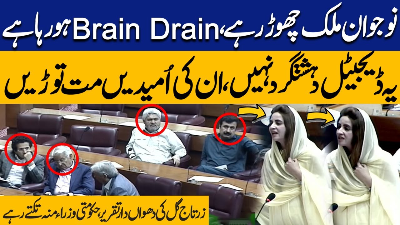 Pakistan Suffering with Brain Drain, Youth Leaving Country | Zartaj Gul ...