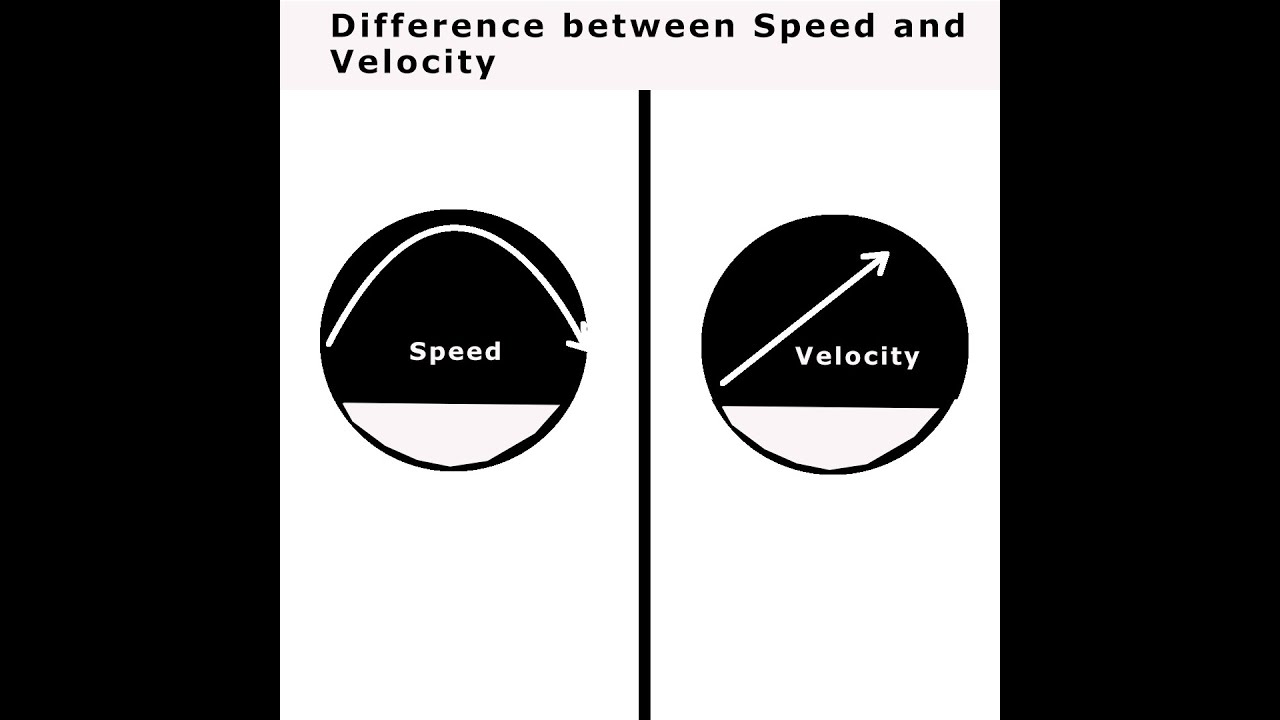 Differences - Speed and Velocity - Kidz Learn Applications™ - YouTube