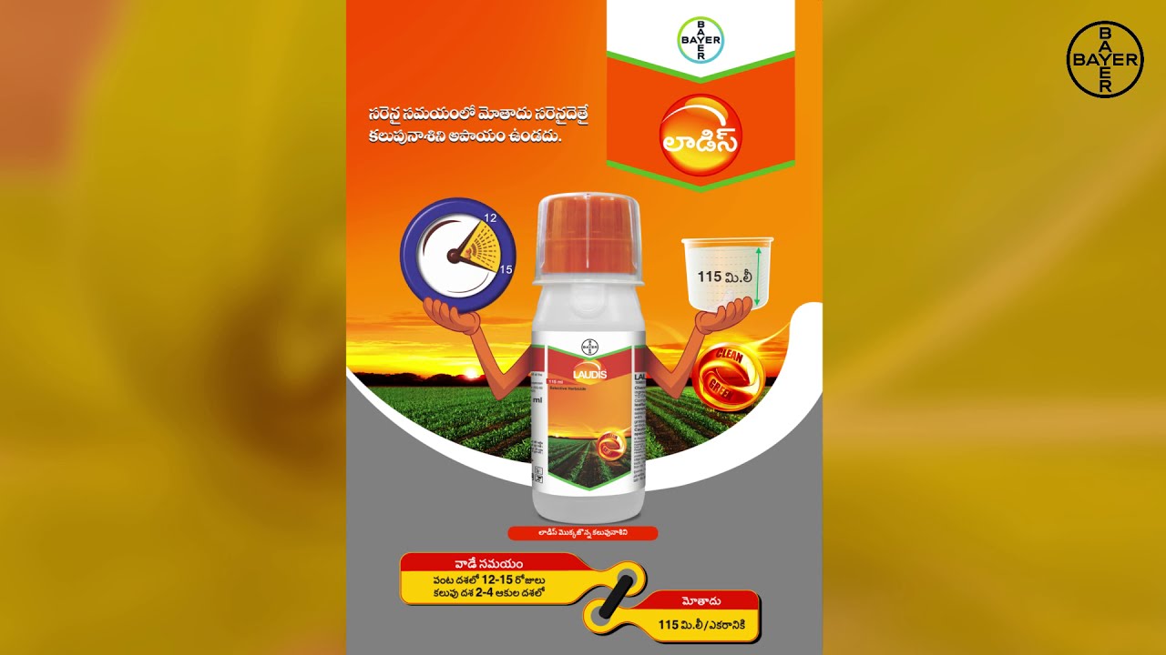 Laudis - Corn Weed Killer: Part 2 (Telugu) | Bayer Crop Science India ...