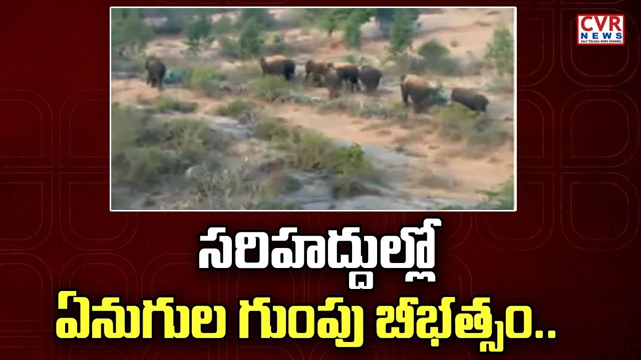Elephants Mob Hulchal in the Border Areas of Andhra and Tamil Nadu ...