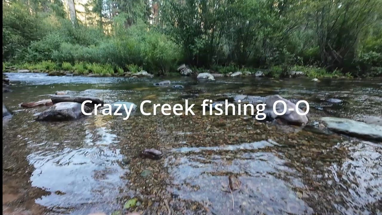 Creek Fishing Bonanza - YouTube