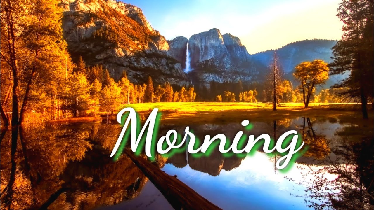 good morning video, good morning status, natural status,gm love status ...