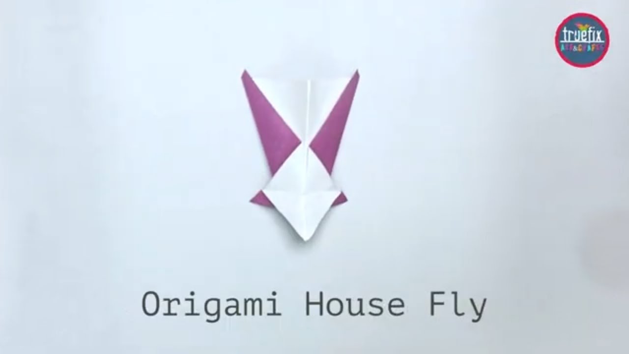 Step-by-step DIY Tutorial: How To Make an Easy Origami House Fly With ...