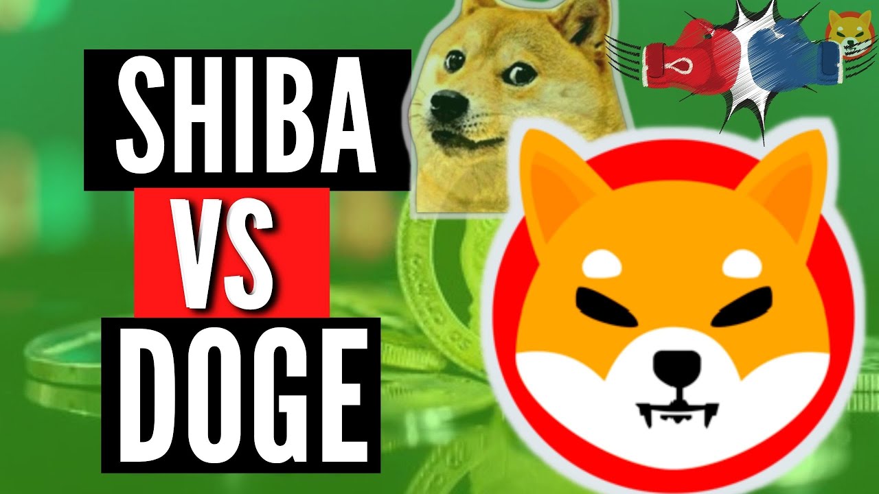 MUST SEE! Dogecoin DOGE VS Shibu Inu SHIB Token | Crypto FIGHT Dogecoin ...