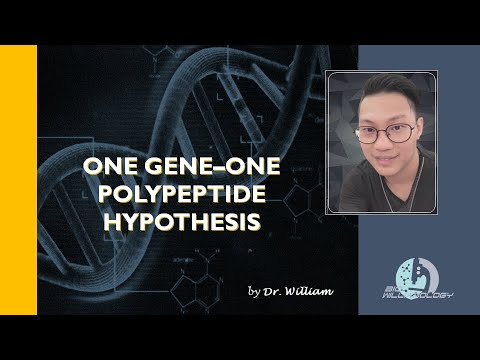 One Gene–One Polypeptide Hypothesis by Dr. William - YouTube