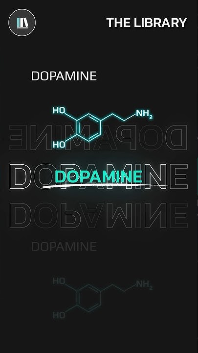 Dopamine ทั้ง 2 แบบ - The Library Short - YouTube