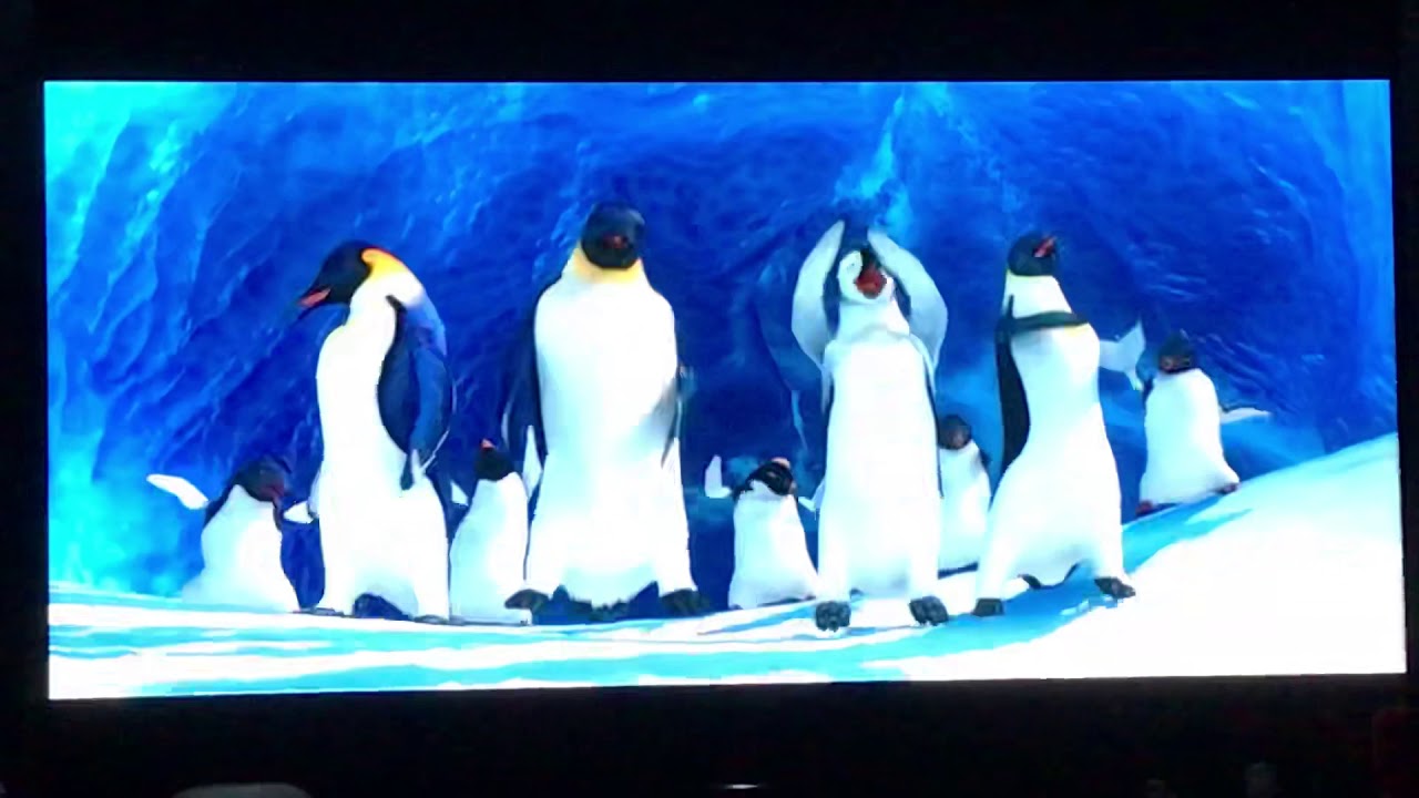 Happy Feet Helicopter Scene Happyfeet Amigos Ramon Funny Scene 😂