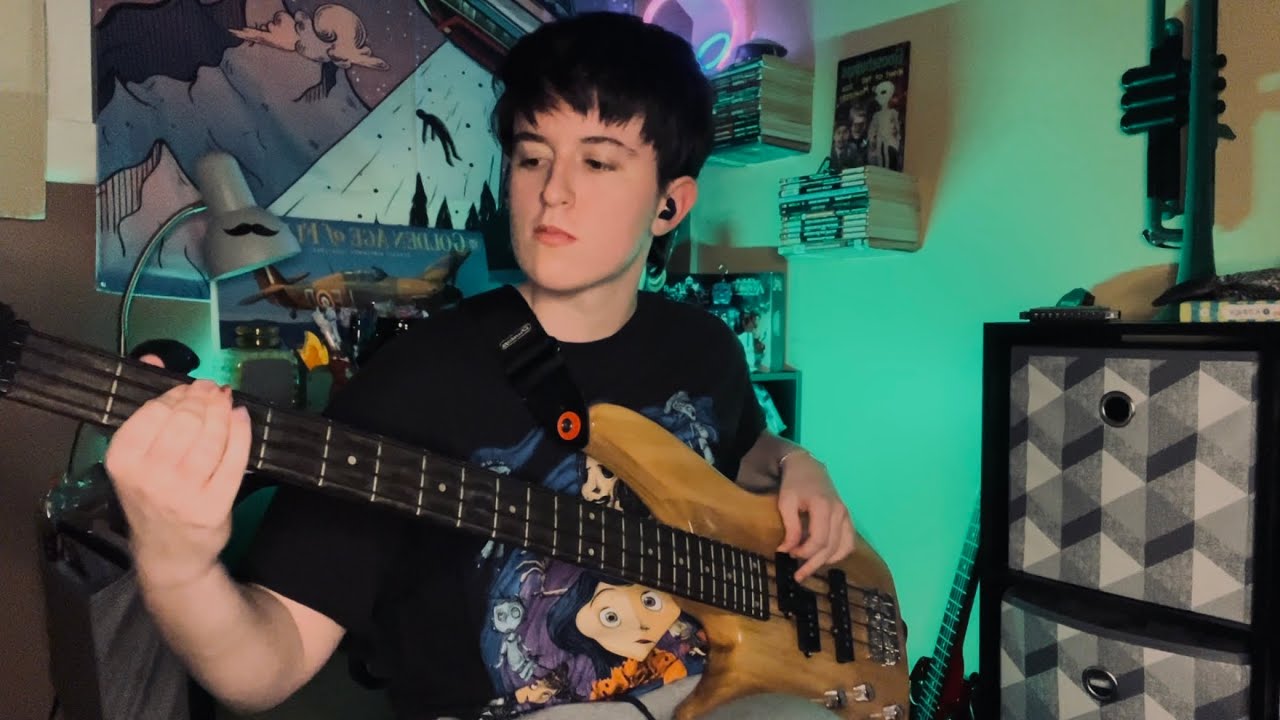 Goodnight Chicago Rainbow Kitten Surprise Bass Cover - YouTube