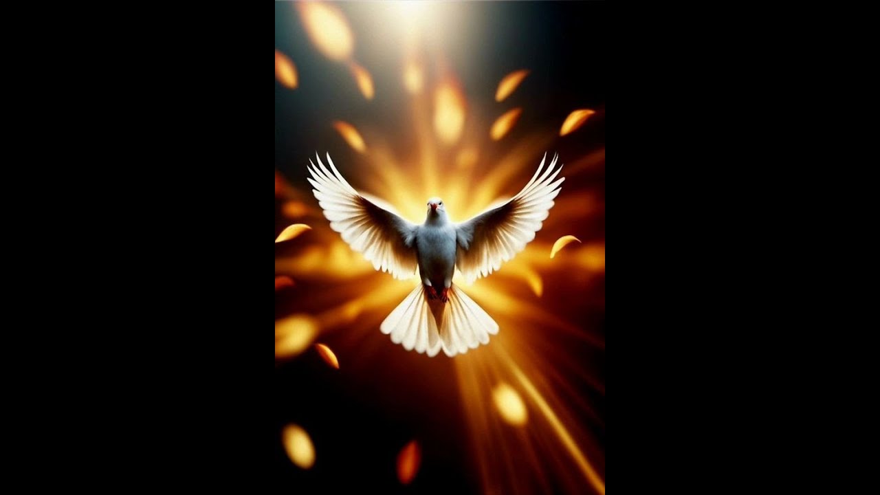 Oração Poderosa a Santo Onésimo, Libertação e Renovação - YouTube