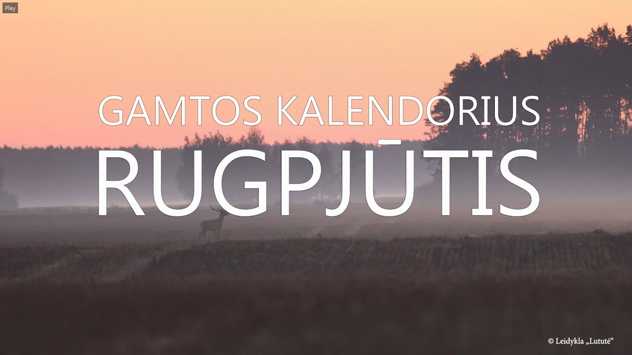 Gamtos kalendorius. Rugpjūtis - YouTube