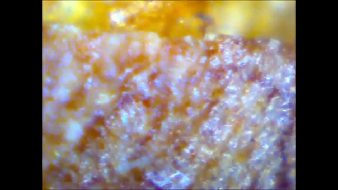 Tobacco Under a Microscope - YouTube