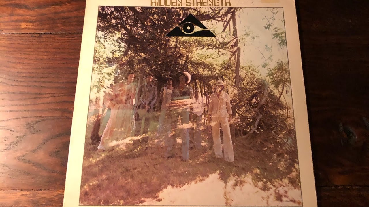 HIDDEN STRENGTH -"Happy Song" RAREGROOVE/FUNK レアグルーヴ/ファンク(vinyl record ...