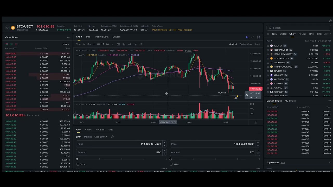 LIVE BTC/USDT CHART: Real-Time Bitcoin Price Tracker (Current Market ...
