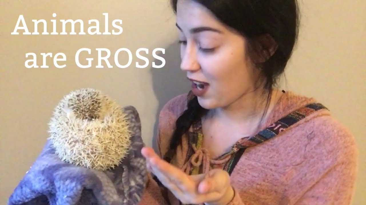 Gross Things that my Animals Do - YouTube