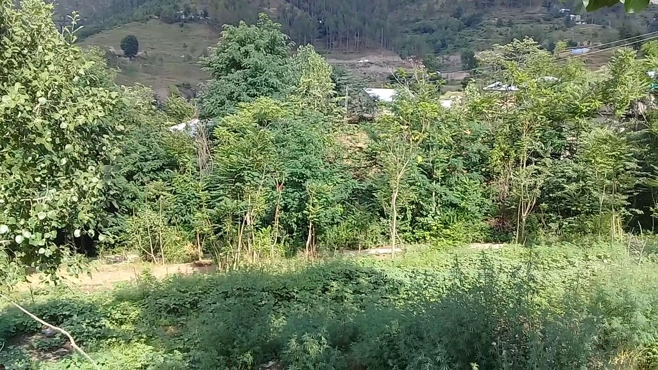 New video 2018 batgram - YouTube