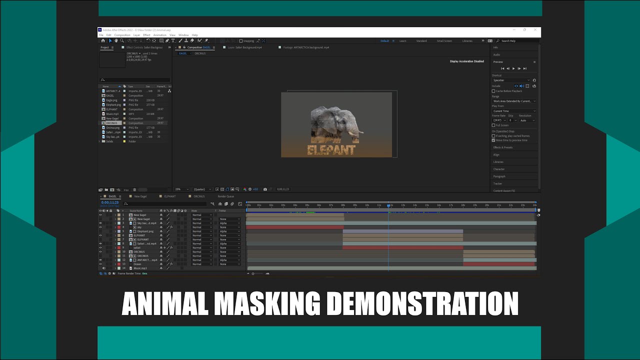 ANIMAL MASKING DEMONSTRATION - YouTube