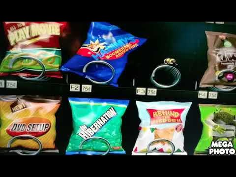 Opening to over the hedge 2006 dvd (full screen version) - YouTube