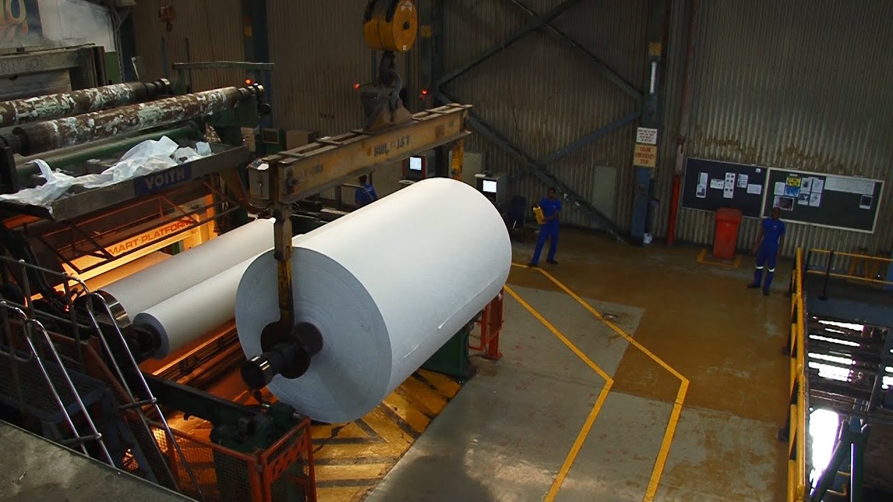 How Paper Is Made From Sugar Cane YouTube how-paper-is-made-from-sugar-cane-youtube