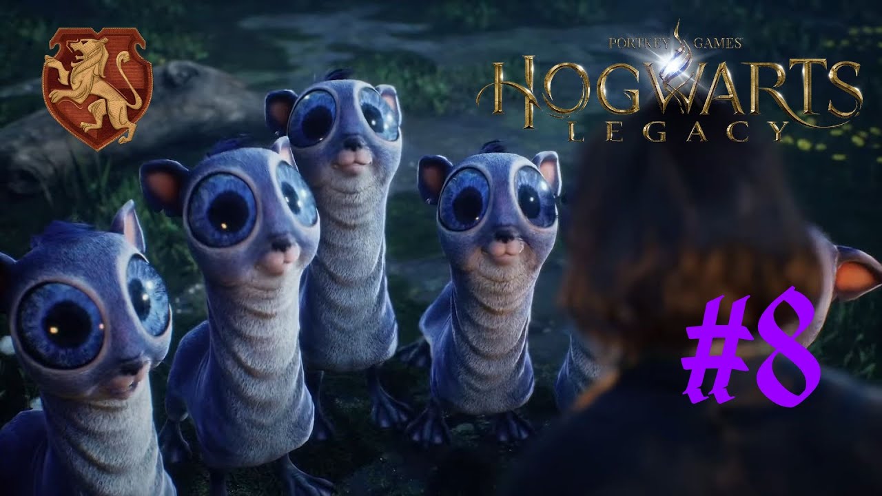 Beast Class, A Gryffindor's Care & Rescue Of Magical Creatures ...