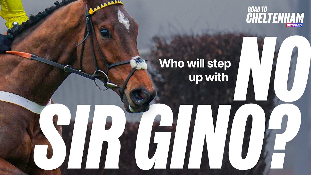 Who will step up with no Sir Gino? | Betfred's Road to Cheltenham ...