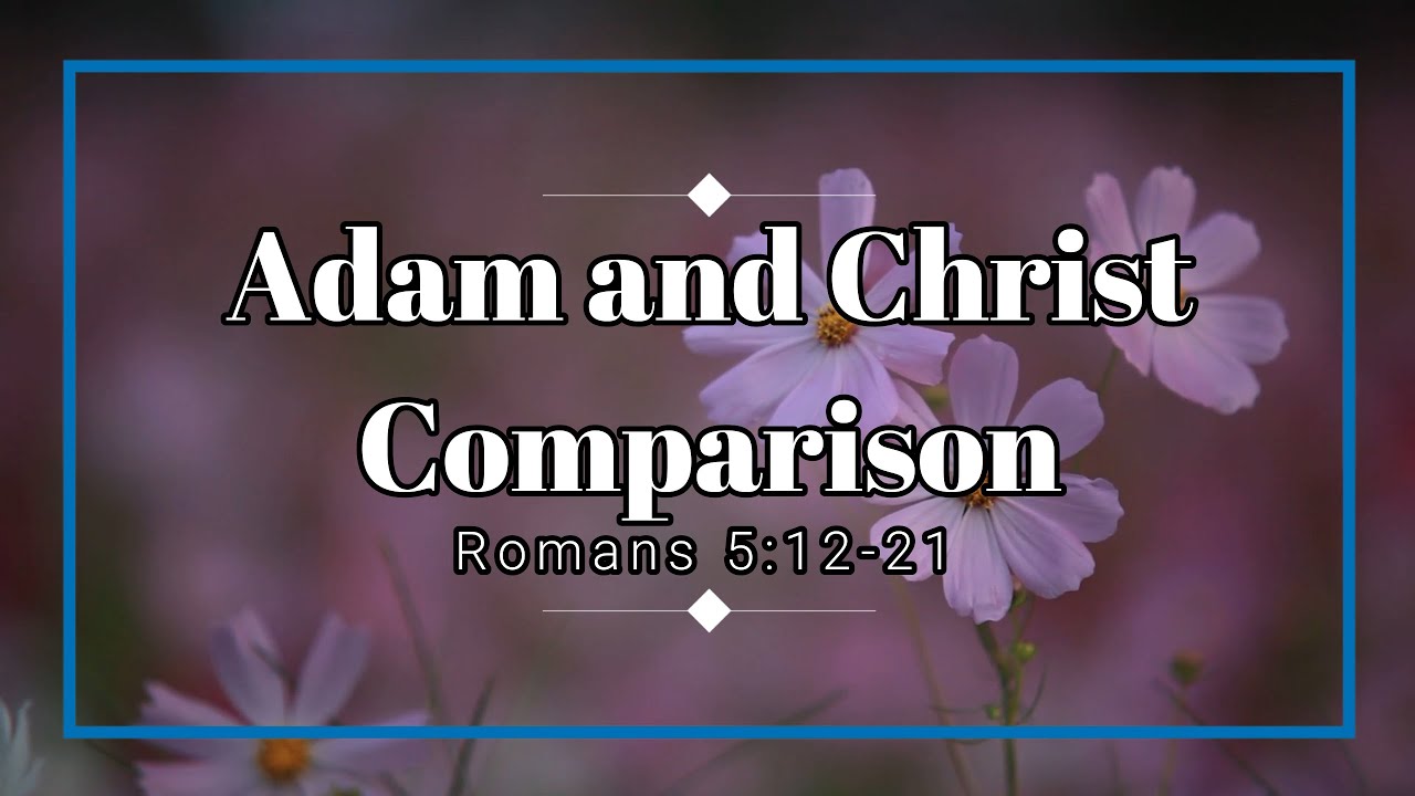ADAM AND CHRIST COMPARISON | ROMANS 5:12-21 - YouTube