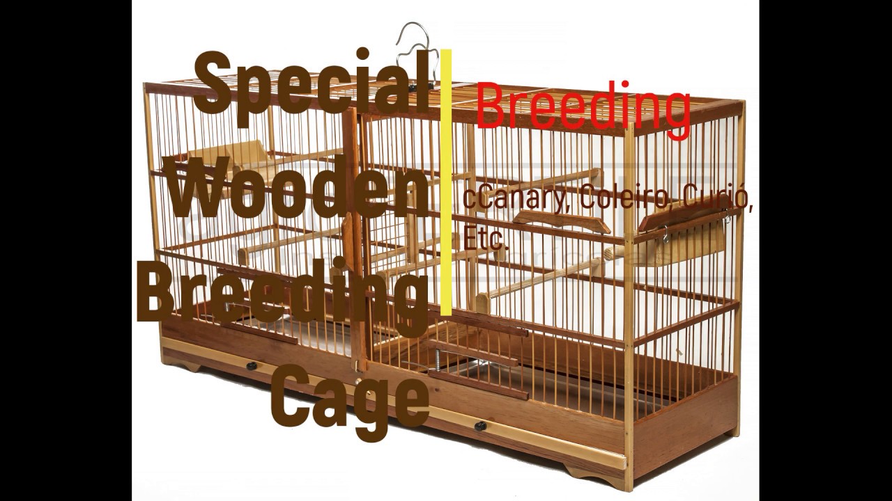 Wooden Breeding Cage For Canaries - YouTube