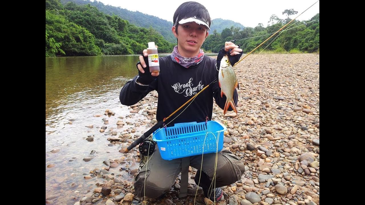Yuen Yang Tackle Umpan 3D for Fly Fishing sg Limbeng part 15 - YouTube