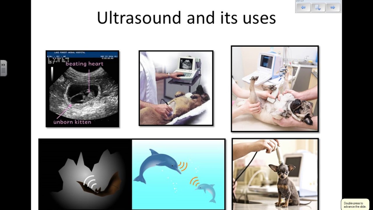 Ultrasound and uses of Ultrasound - GCSE Physics Revision - YouTube