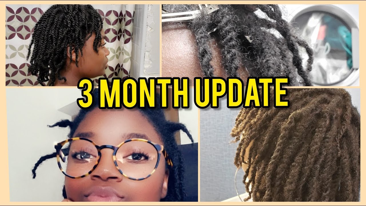 1-3 Month Loc UPDATE! | Splitting Locs, Budding and MORE! - YouTube
