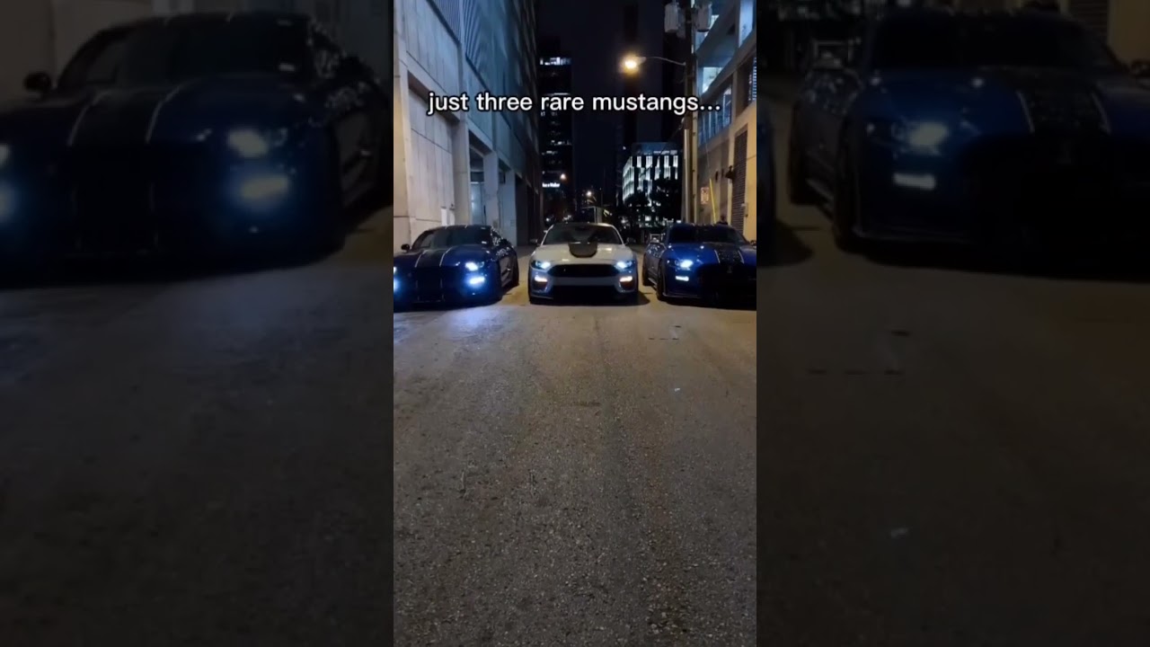 Quiet Racing Mustang Crew 🐍🛩#Mustang#camaro #Gt350 #fordperformance # ...