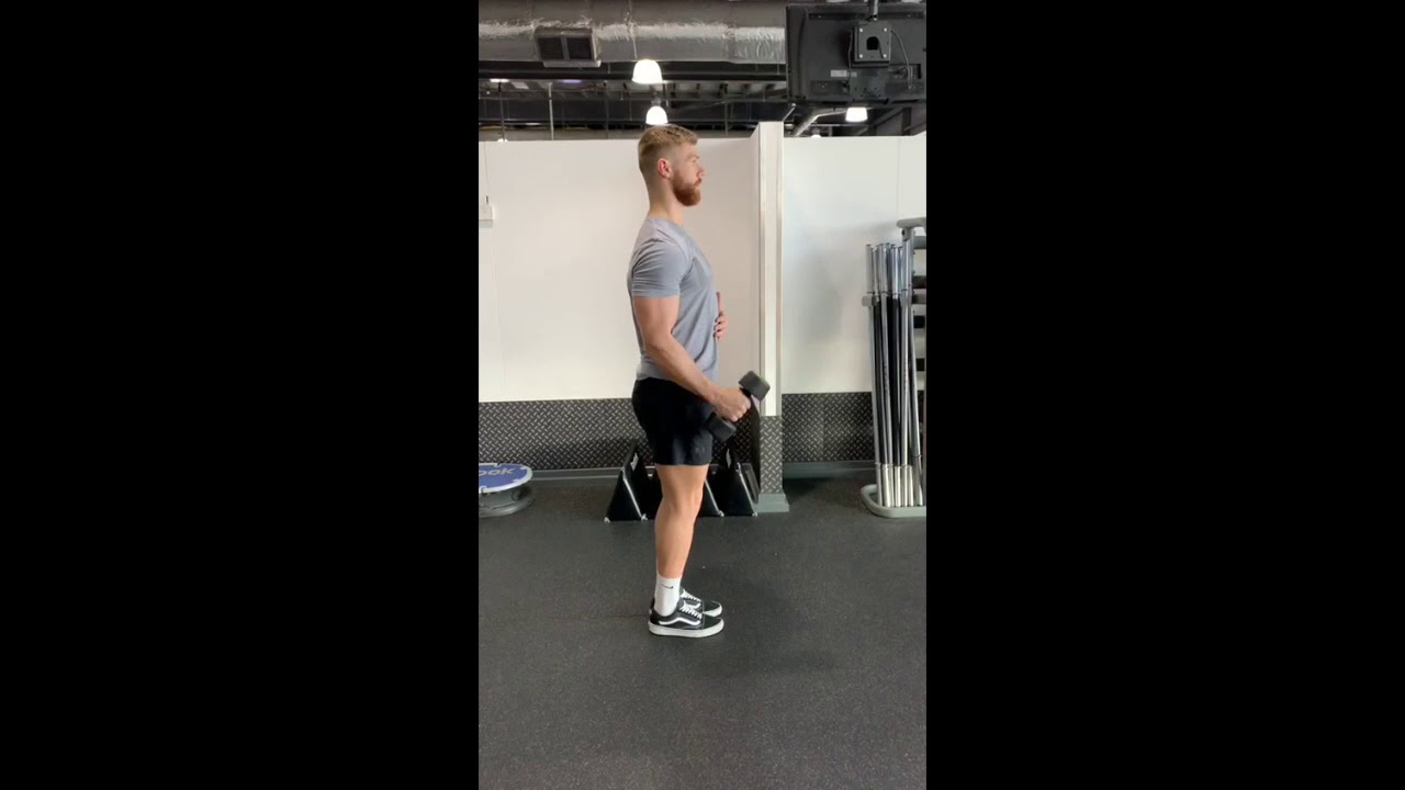 DB SA Hammer Curls - YouTube