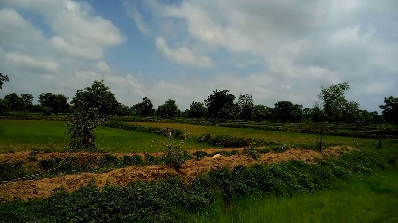 Beautiful Areas Near Tumsar | Nature Vlog | Feel the Nature | Tumsar ...