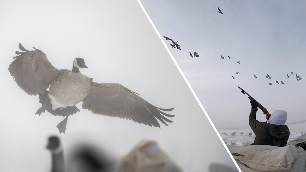 Waterfowl Hunting with Foster Bartholow | Filmed with ShotKam Gen 4 ...
