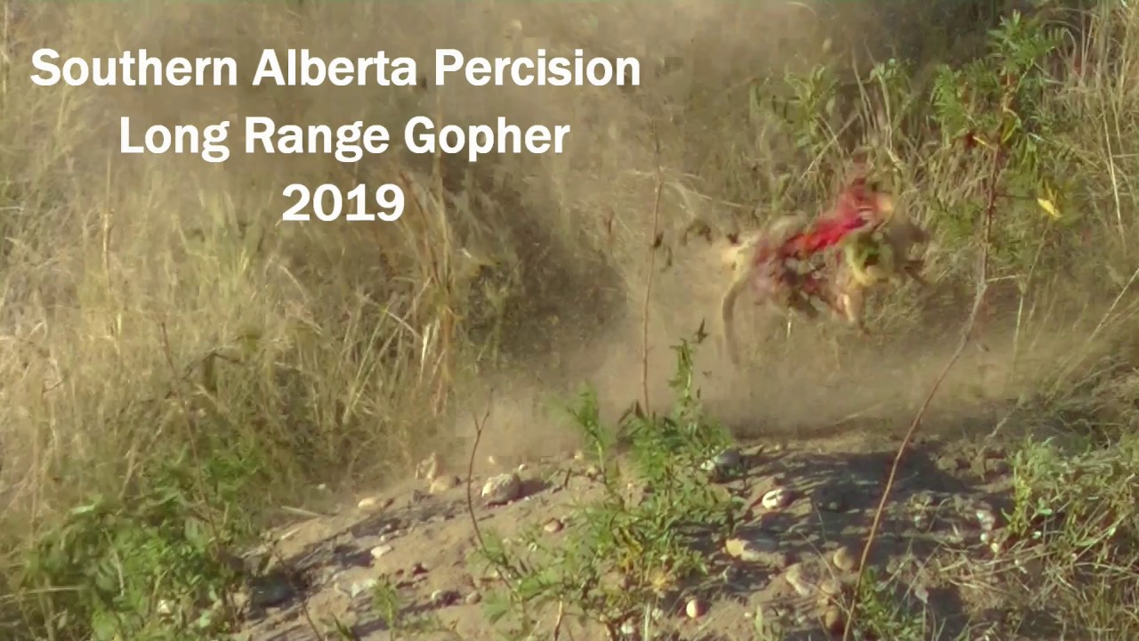 Southern Alberta Precision Long Range Gopher 2019 - YouTube