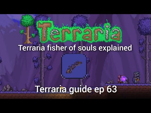 Terraria Fisher of souls explained, Terraria guide ep 63. - YouTube