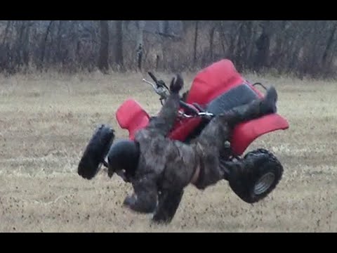 Honda TRX400EX Donut Fail!!! Wipeout Crash - YouTube