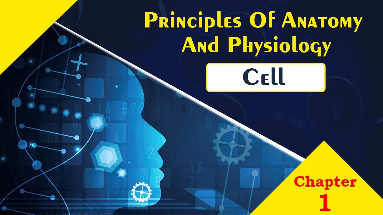 Cell | Principles of Autonomy and Psychology | Chapter-1 - YouTube