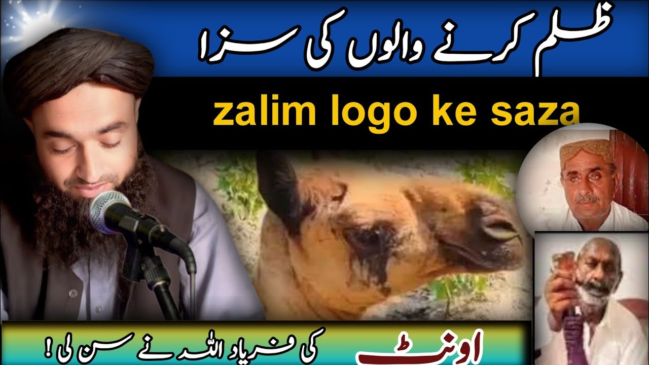 Zalimo ke Kia saza he || wadera ka Kia saza ho ga ||Molana shah Ali ...