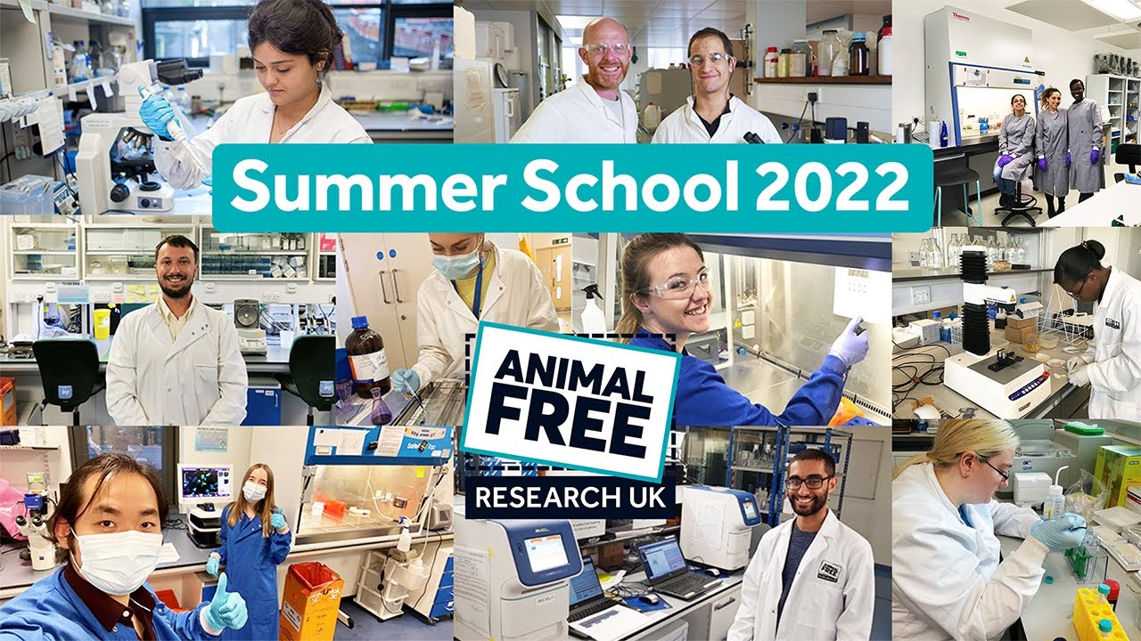 Summer School 2022 - Animal Free Research UK - YouTube