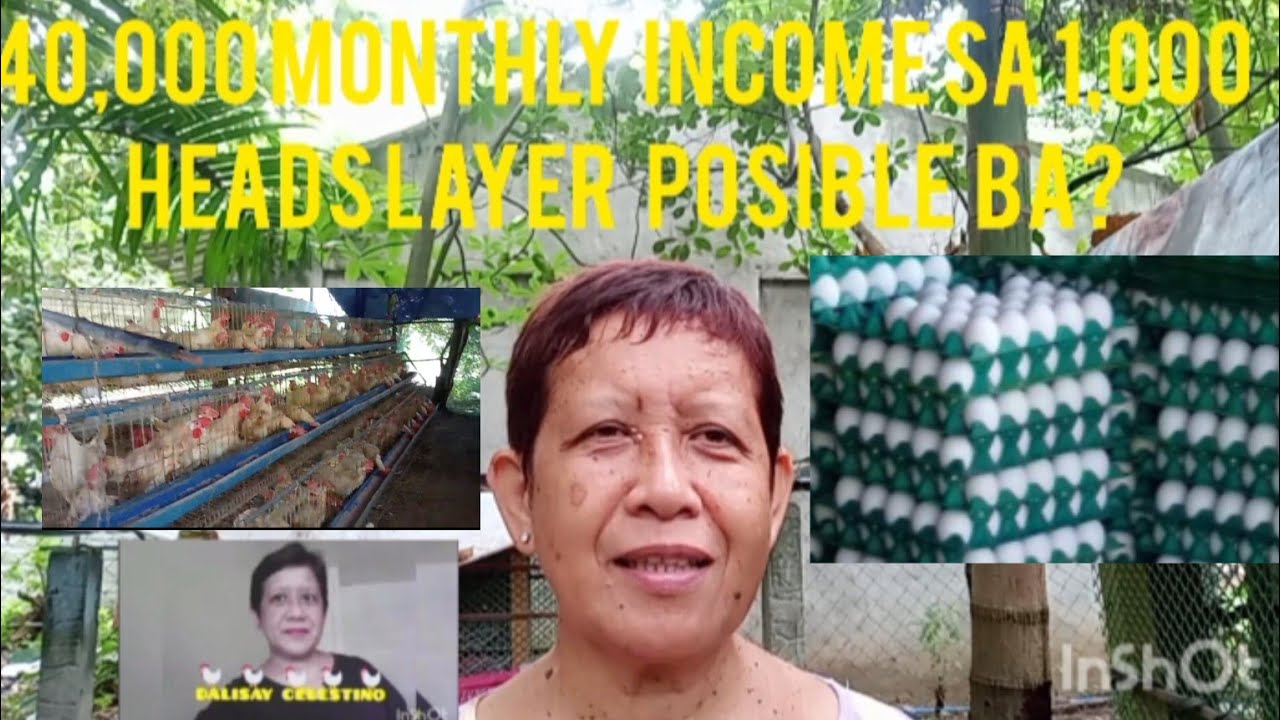 40,000 PESOS MONTHLY INCOME SA 1,000 HEADS LAYER, POSSIBLE BA ...