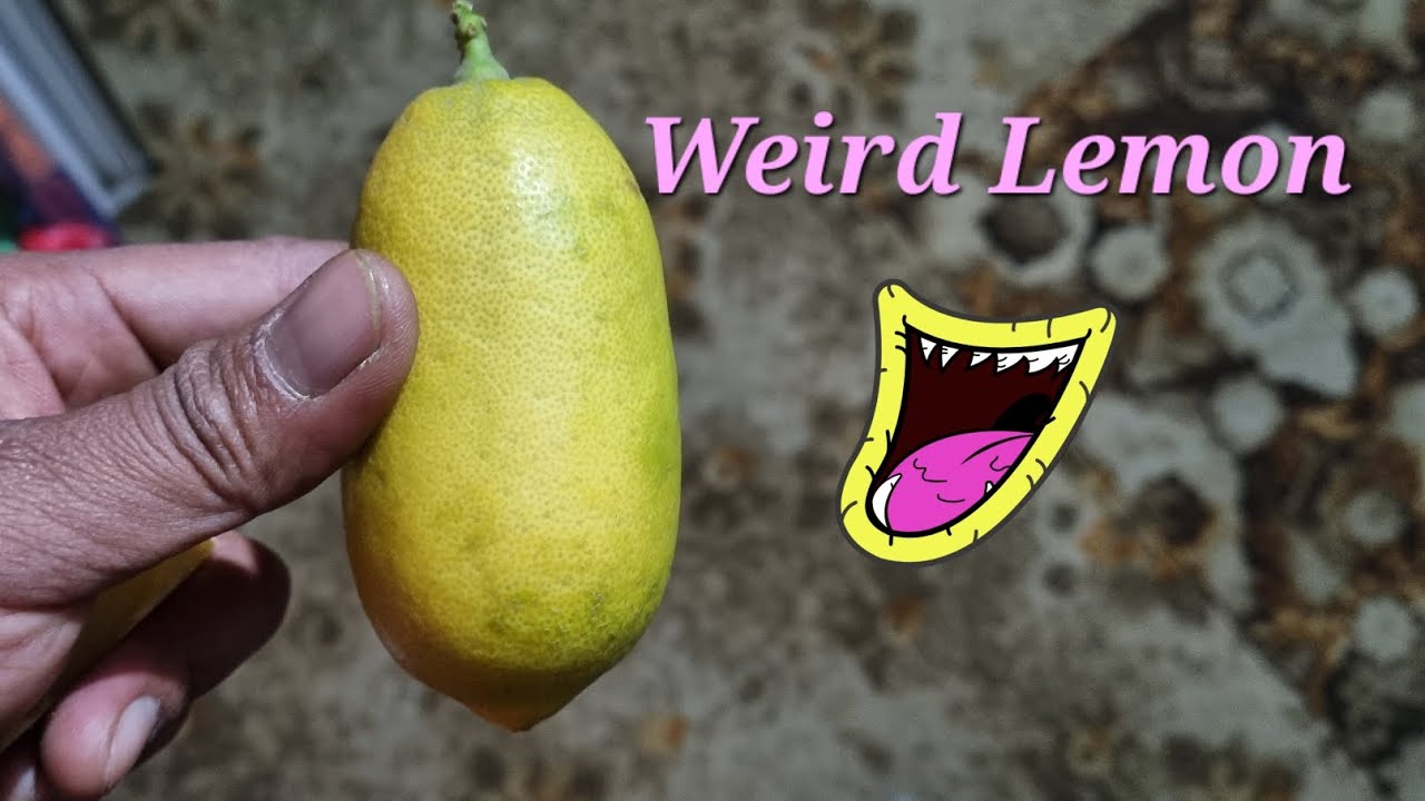 Got a weird lemon - YouTube