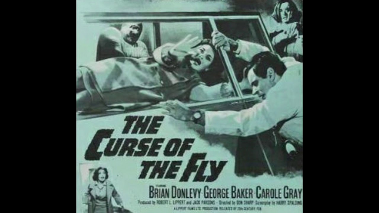 Bert Shefter - Pat Drugged [The Curse Of The Fly OST 1965] - YouTube