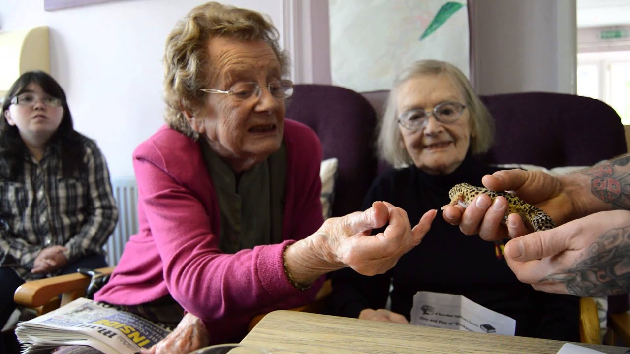 Haven activity centre clients enjoy a visit from the Wild Experience's ...