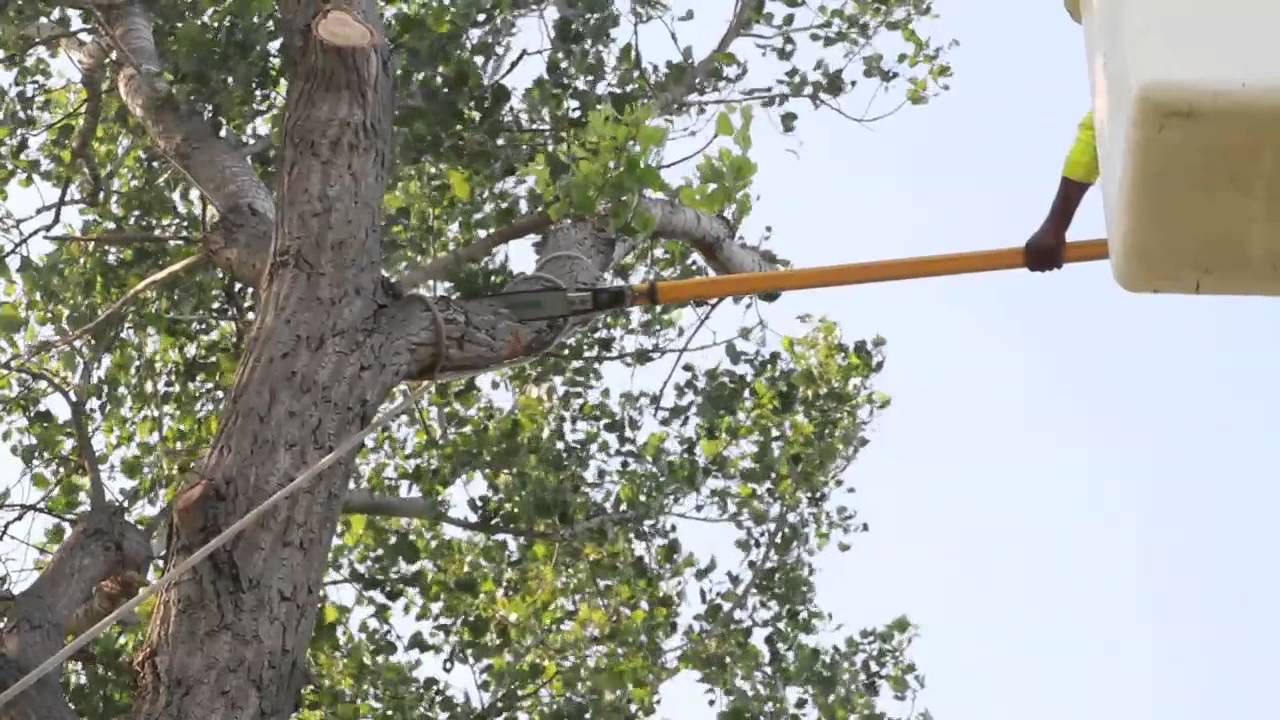 OPPD Tree Trimming - YouTube
