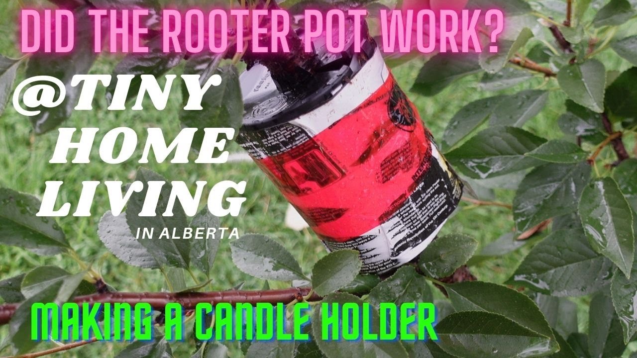 Rooter Pot Ready? & Making A Birthday Gift - YouTube