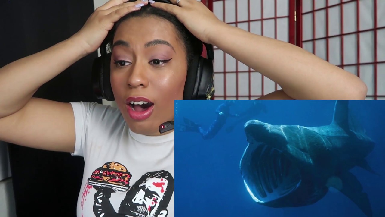 THESE CREATURES ARE HORRIFYING! SkittenReacts to Creepy Sea Creatures ...
